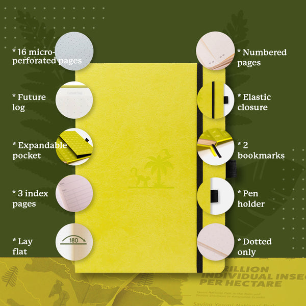 Eco Bullet Journal | A5+ Earth Notebook | Dingbats