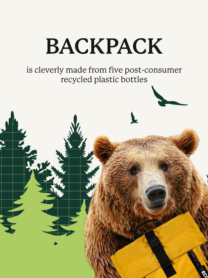 Dingbats* Notebooks: Eco-Friendly Notebooks & Bullet Journals