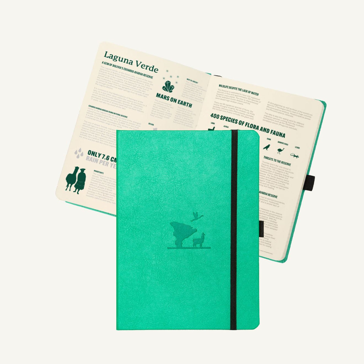 Dingbats* A5 Earth Collection - Sustainable Notebooks