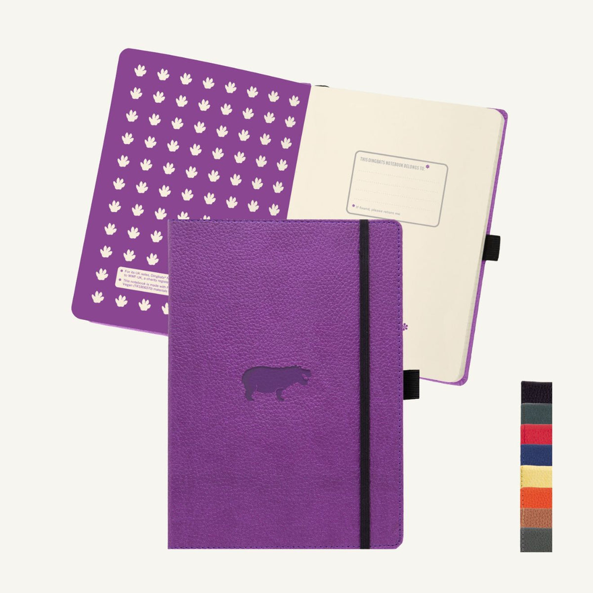 Explore Dingbats* Notebooks - All Variants Collection